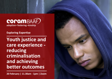 Youth justice, ethnicity, school exclusion, and care experience – reducing criminalisation and ...